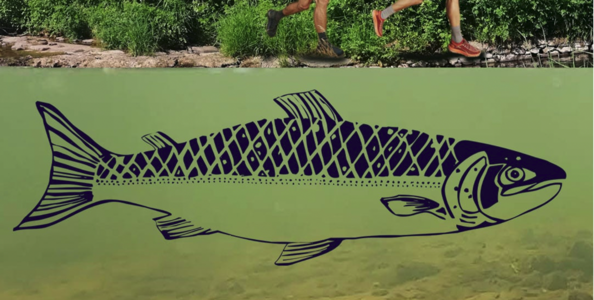 Creative Peninsula → Salmon Run 2023